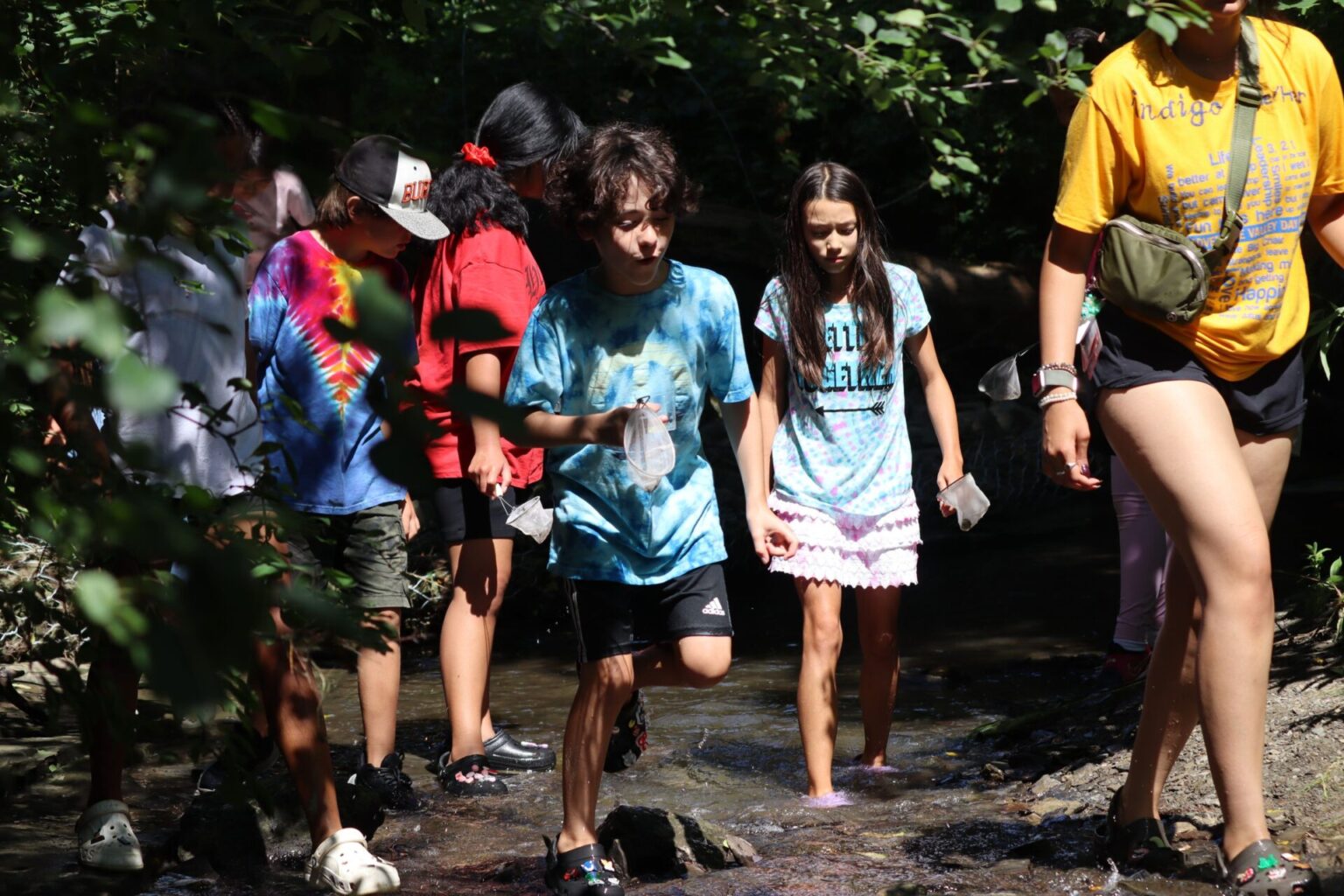 Tigers Week 6 2024 - Adventure Valley Day Camp